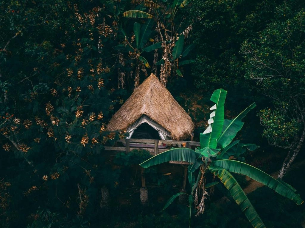 Desa Eko | Visit North Bali